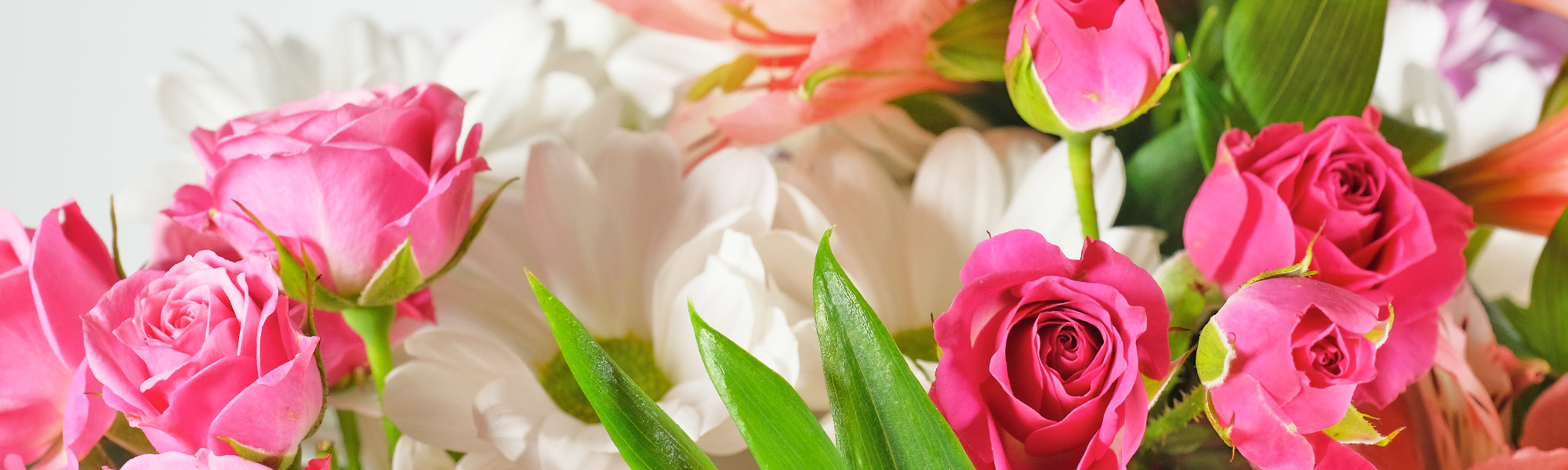 Kalamazoo Florist | Same-Day Kalamazoo Flower Delivery by VanderSalm's ...